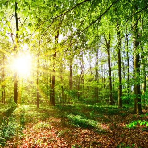 Teamtag Ideen » 39 spannende Events für Ihr Team